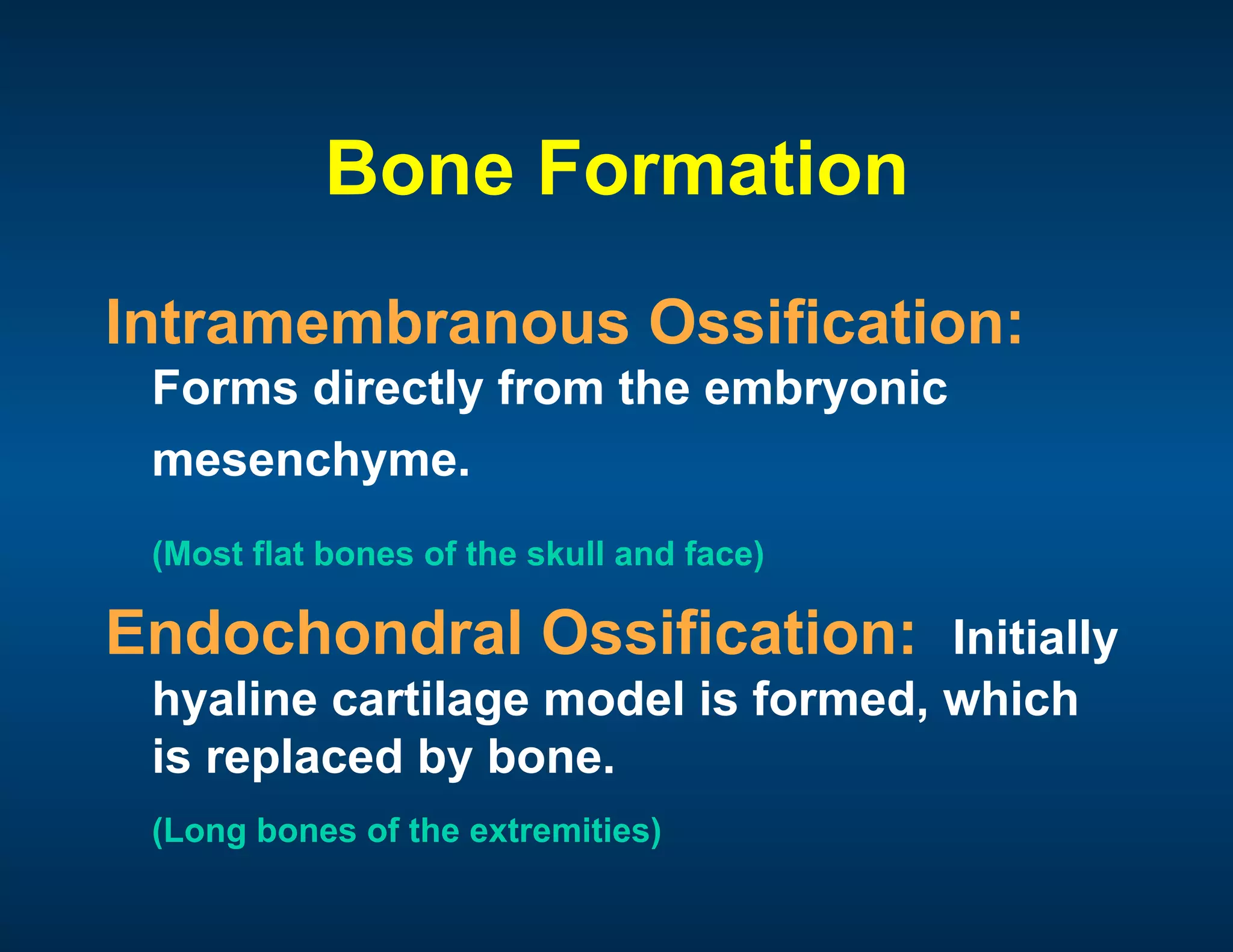 10.13.08: Histology - Bone Formation and Remodeling | PDF