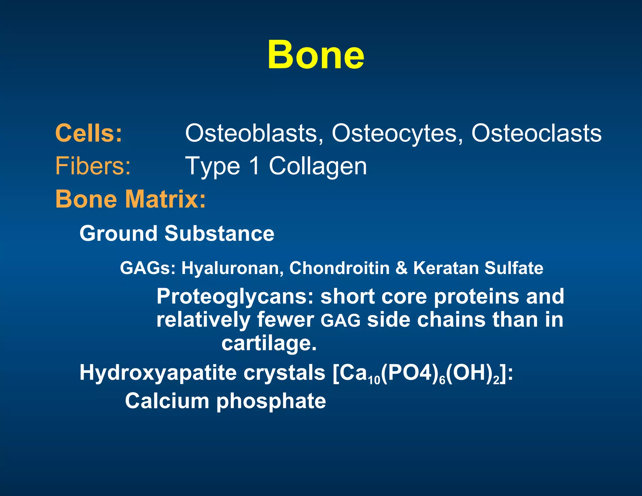 10.13.08: Histology - Bone Formation and Remodeling | PDF