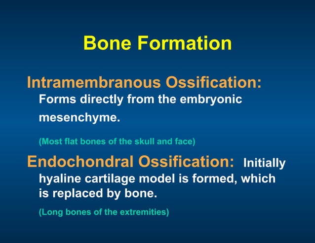 10.13.08: Histology - Bone Formation and Remodeling | PDF | Bone and Joint Conditions | Diseases ...