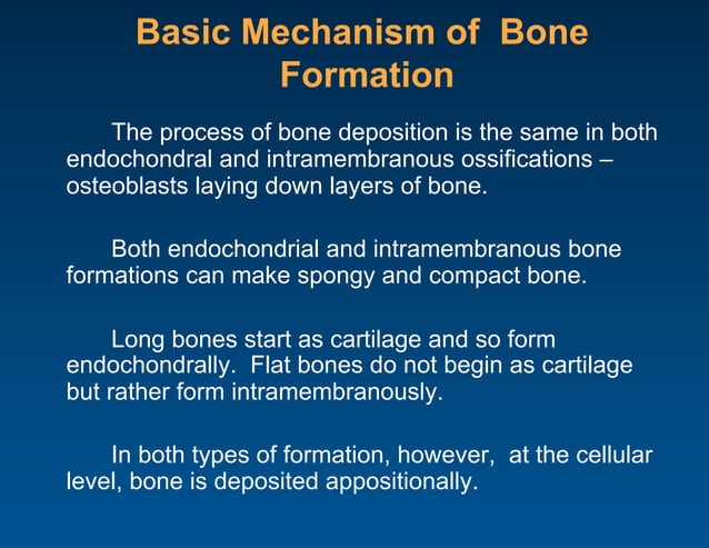 10.13.08: Histology - Bone Formation and Remodeling | PDF | Bone and Joint Conditions | Diseases ...