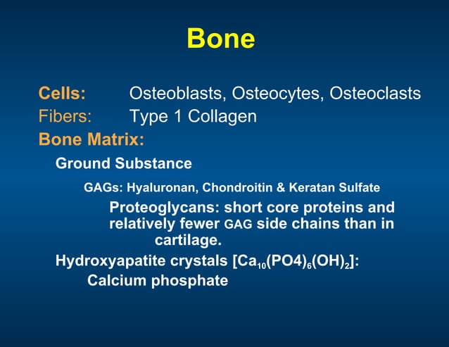10.13.08: Histology - Bone Formation and Remodeling | PDF | Bone and Joint Conditions | Diseases ...