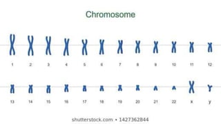 Genetic Disorders due to Error in Meiosis | PPTX