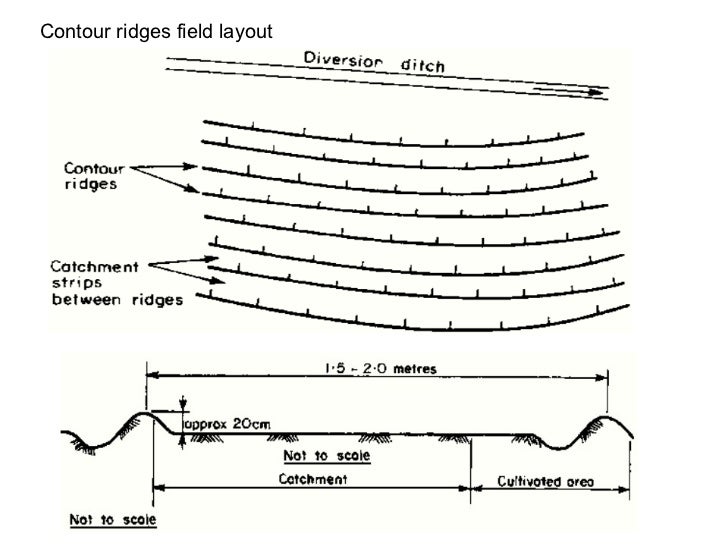 RHM for improved crop & pasture production