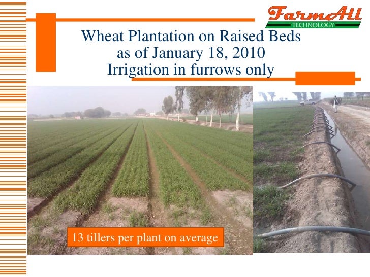 1013 Mechanized System of Crop Intensification (MSCI)