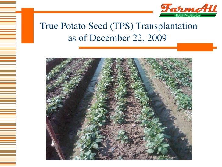 1013 Mechanized System of Crop Intensification (MSCI)
