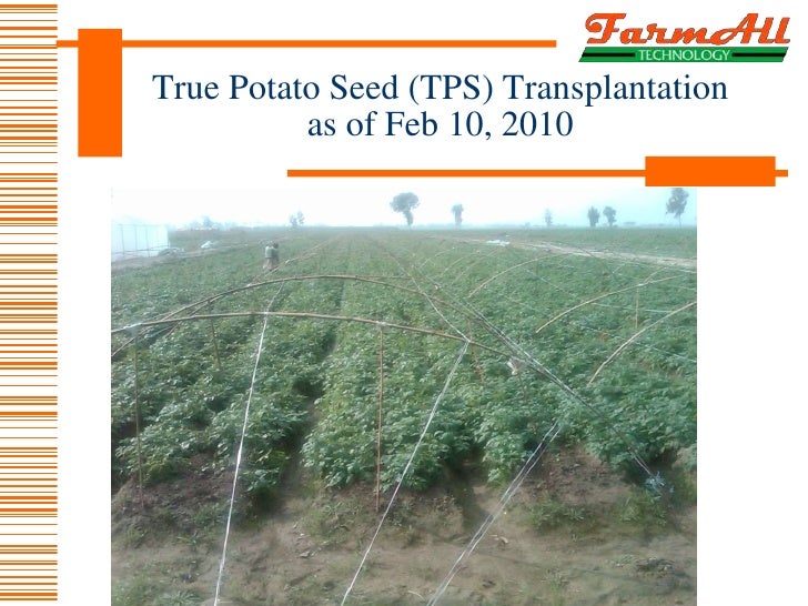 1013 Mechanized System of Crop Intensification (MSCI)