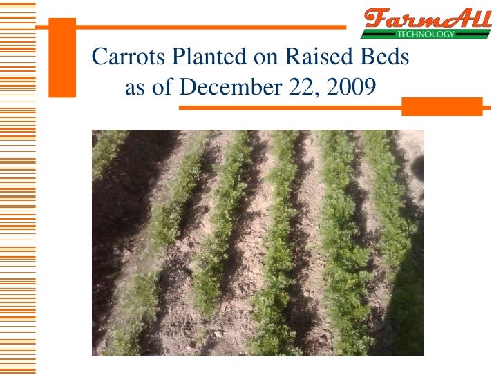 1013 Mechanized System of Crop Intensification (MSCI)