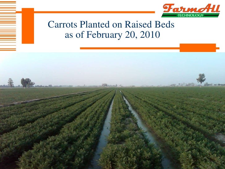 1013 Mechanized System of Crop Intensification (MSCI)