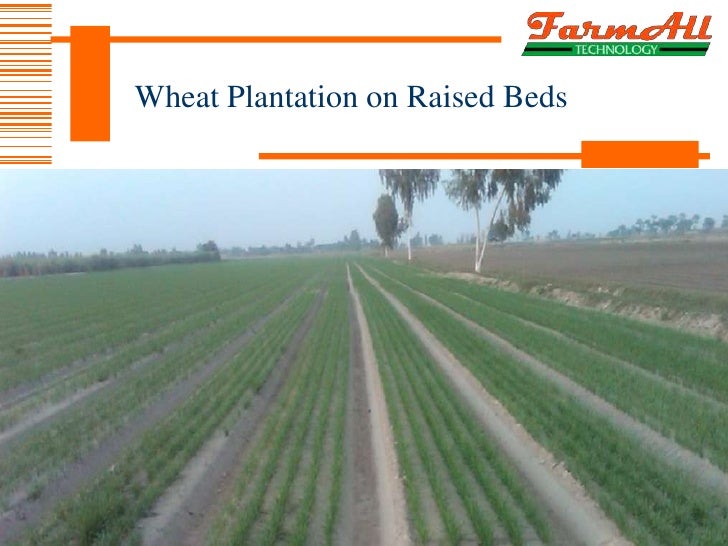 1013 Mechanized System of Crop Intensification (MSCI)