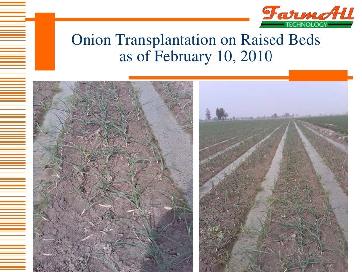 1013 Mechanized System of Crop Intensification (MSCI)