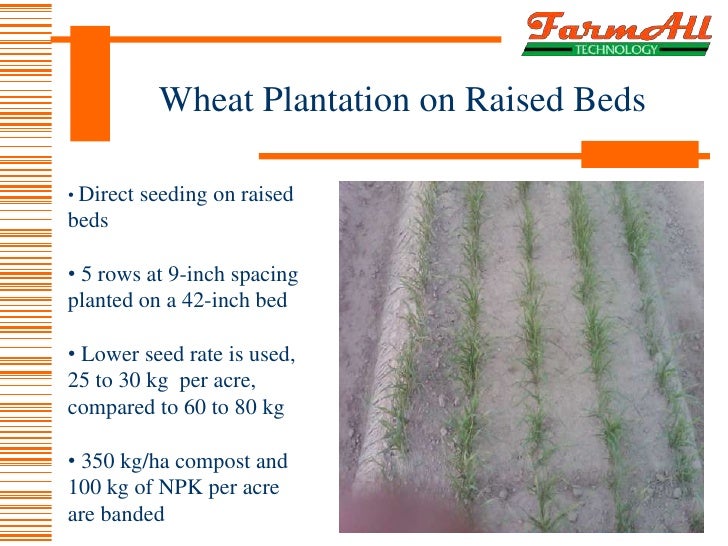 1013 Mechanized System of Crop Intensification (MSCI)
