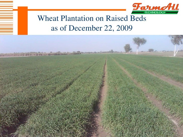 1013 Mechanized System of Crop Intensification (MSCI)