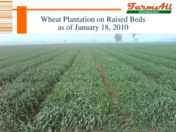 1013 Mechanized System of Crop Intensification (MSCI)