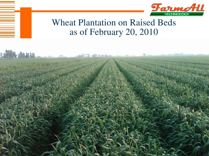 1013 Mechanized System of Crop Intensification (MSCI)