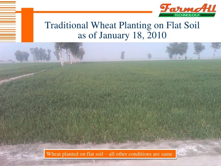 1013 Mechanized System of Crop Intensification (MSCI)