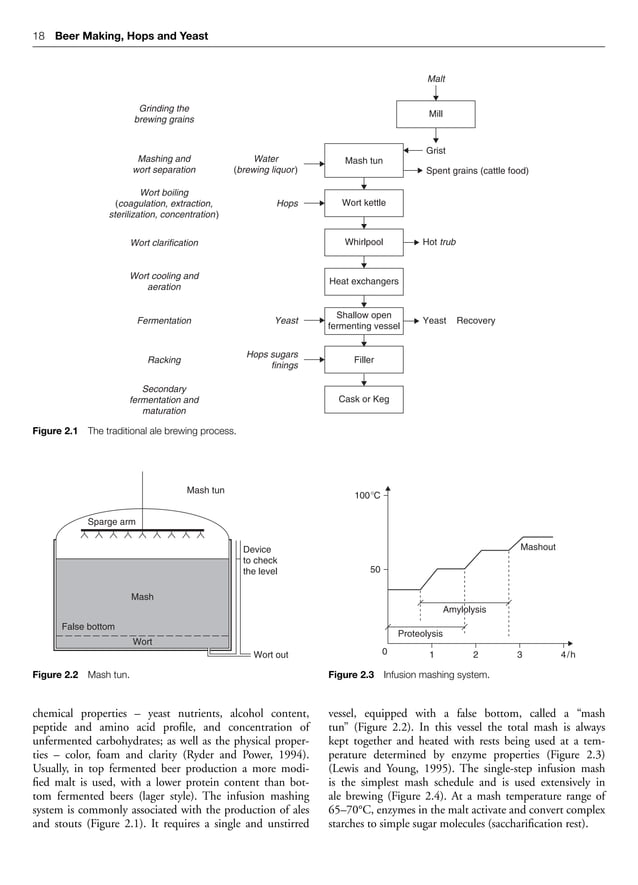 Beer In Health And Disease Prevention Victor R Preedy | PDF