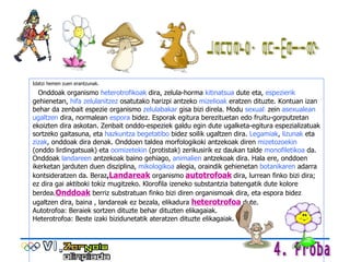 101_4.froga_txus1e.ppt