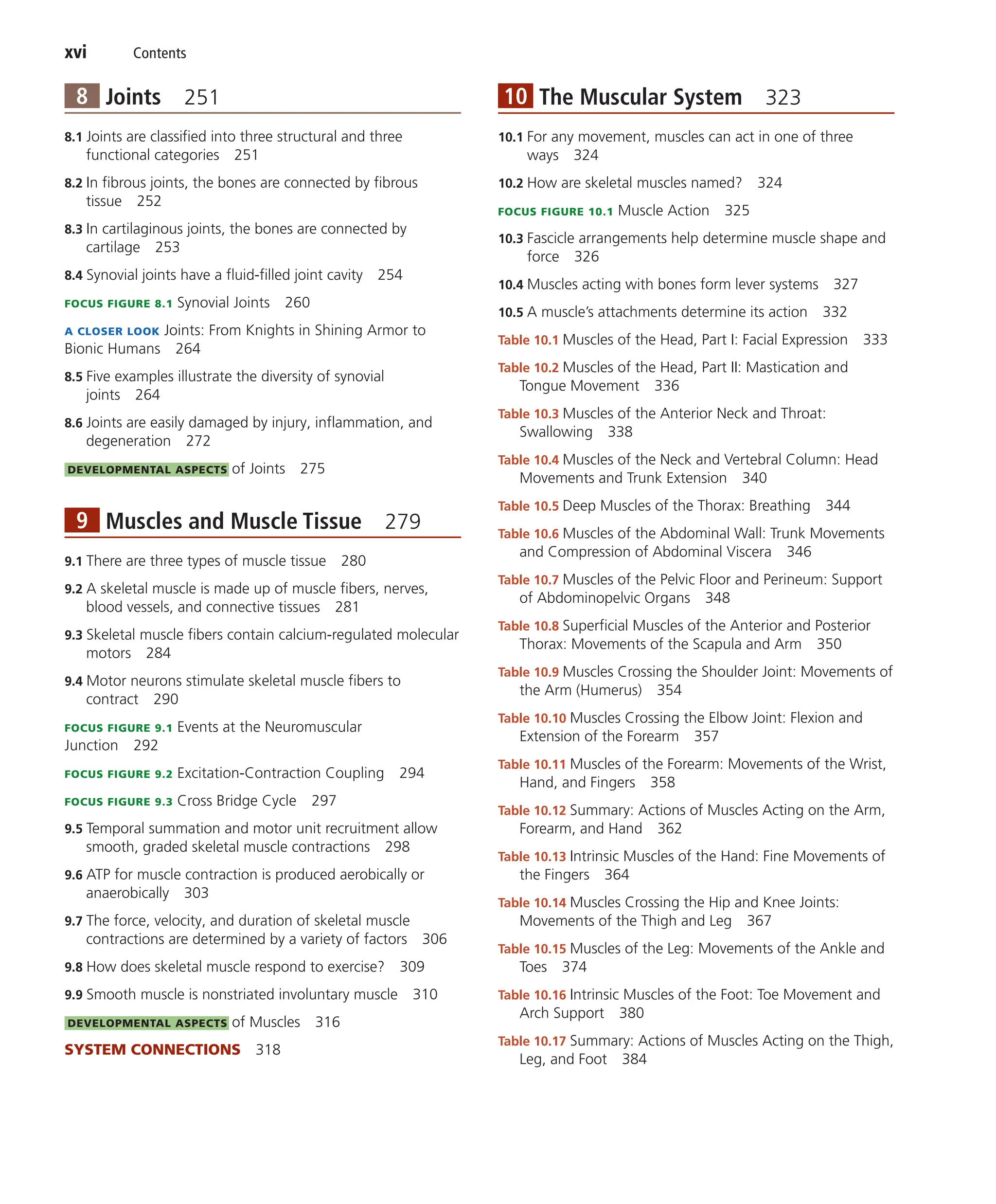 Marieb Human Anatomy & Physiology (12th edition) Katja Hoehn | PDF