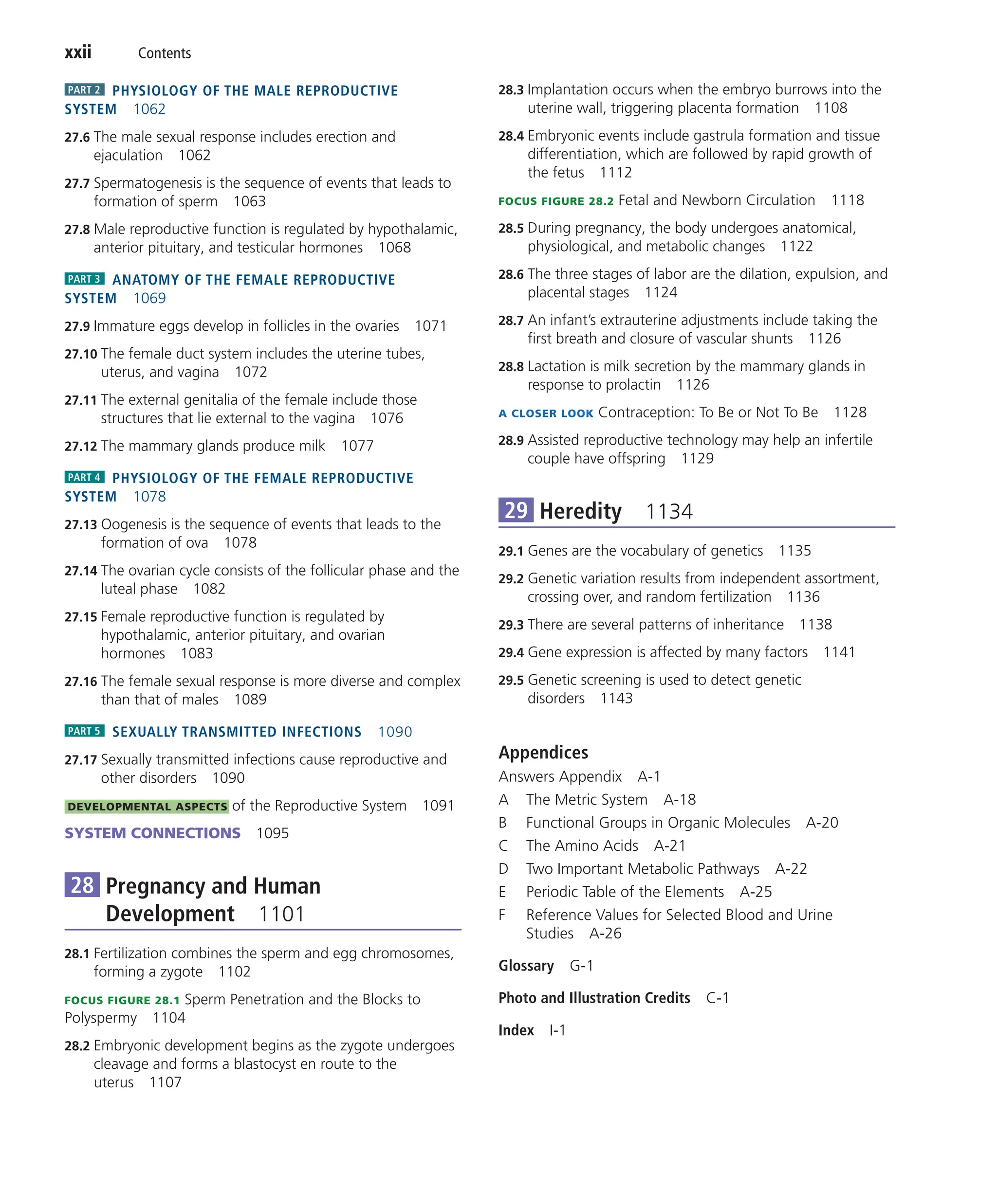 Marieb Human Anatomy & Physiology (12th edition) Katja Hoehn | PDF