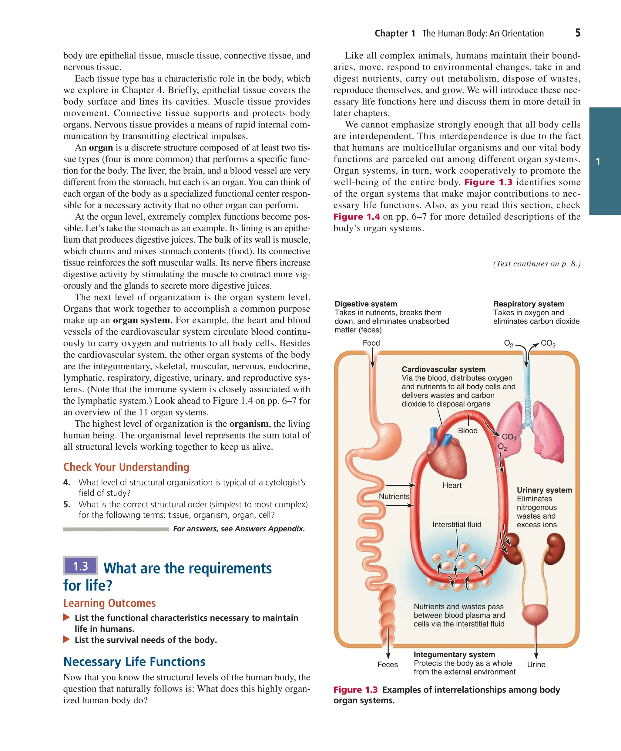 Marieb Human Anatomy & Physiology (12th edition) Katja Hoehn | PDF