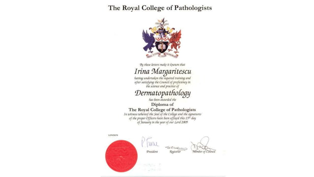 Prezentare_Irina | PPTX