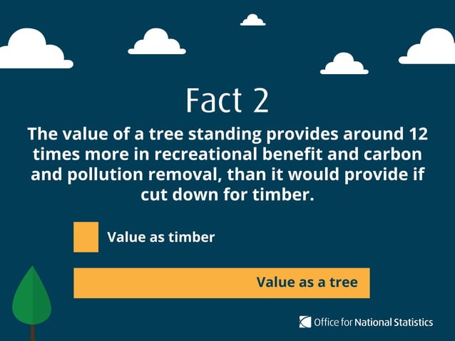 8 Facts about the Environment | PPT