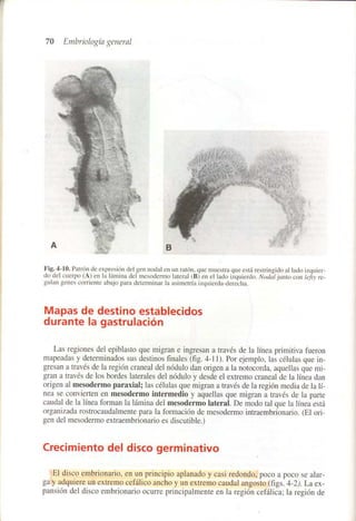 -Langman-Embriologia- embriologiaMedica.pdf