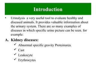 Urine-Analysis-Presentation28046608565pt | PPT
