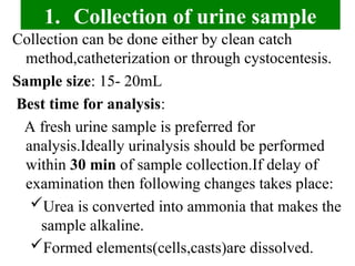 Urine-Analysis-Presentation28046608565pt | PPT