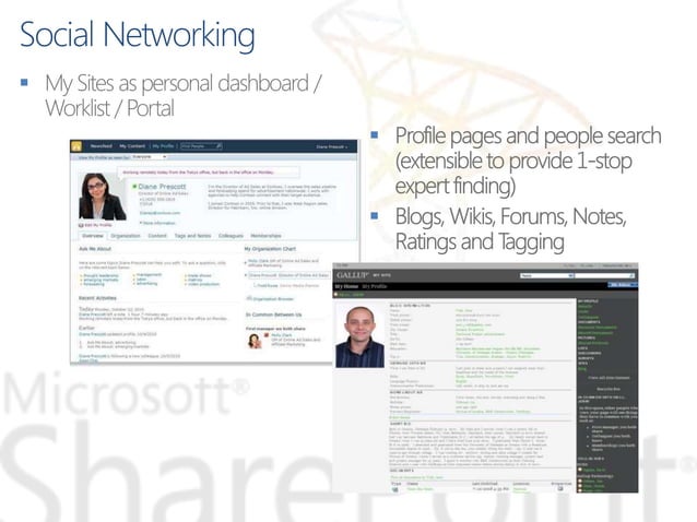 101: The Basics "What is this thing called SharePoint?" | PPT
