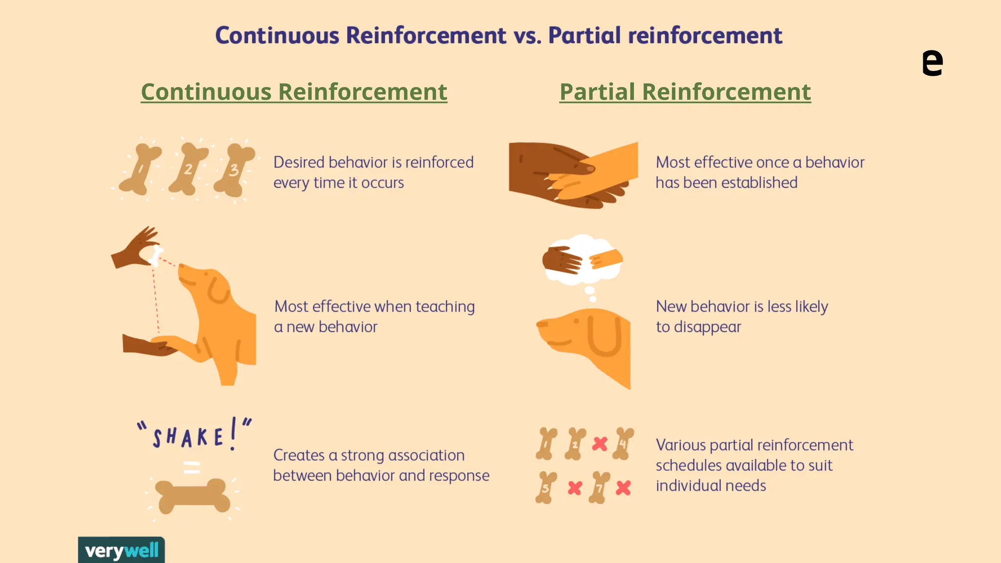 101 W6-3- Classical and Operant Conditioning Full Slides.pptx