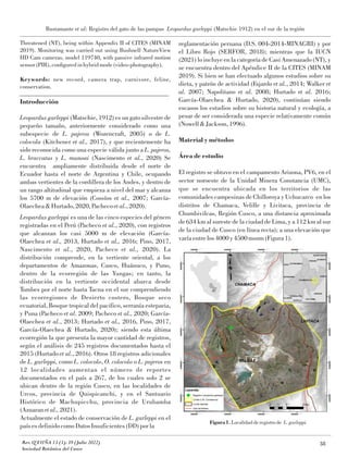 Registro del gato de las pampas Leopardus garleppi (Matschie 1912) en ...