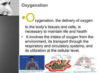Unit-9- Oxygenation, FACTORS AFFECTING OXYGENATION | PDF