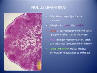 102079283-Histologi-KGB.ppt