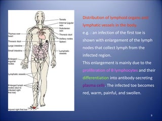 102079283-Histologi-KGB.ppt