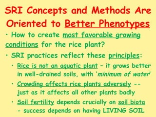 1020 Introduction to Opportunities with the System of Rice ...
