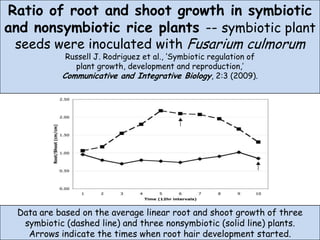 1021 The System of Rice Intensification (SRI) Soil Biota for Rice Crop ...