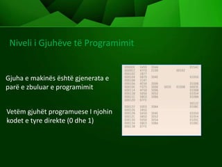 Programming Languages | PPTX