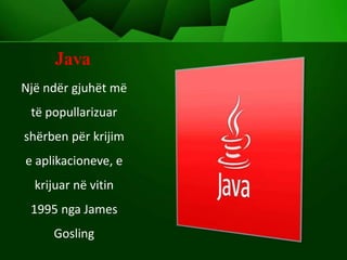 Programming Languages | PPTX