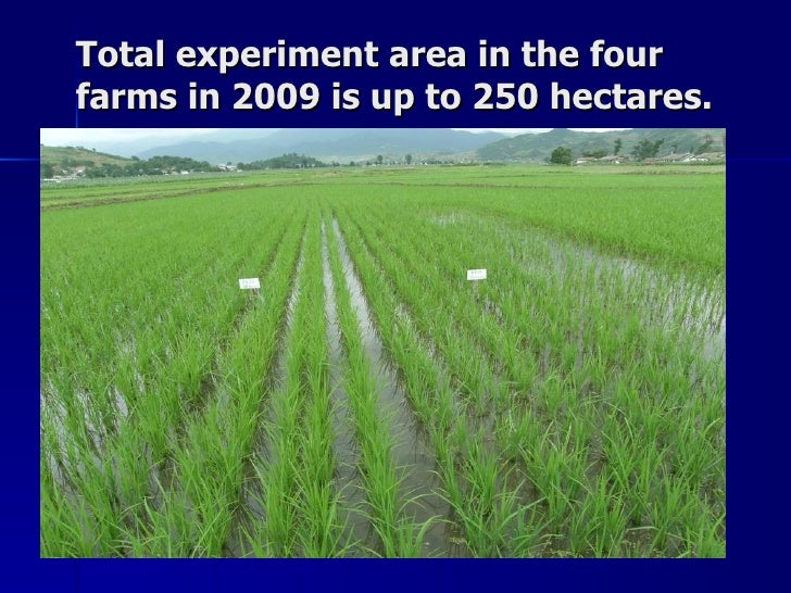 1023 DPRK Agriculture Program SRI Project in four local farms