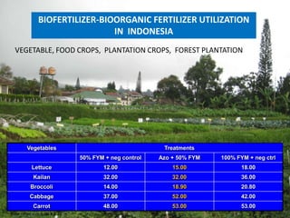 1024 Utilization of Biofertilizer in Indonesia | PPTX