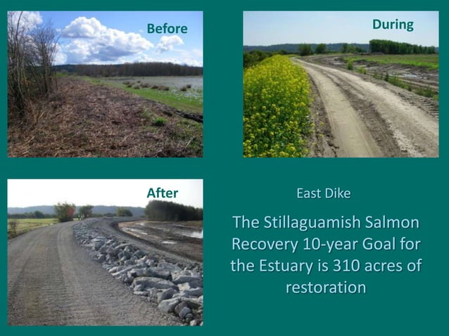 Port Susan Bay Restoration | PPT