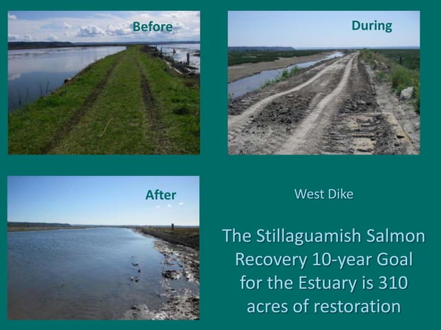 Port Susan Bay Restoration | PPT