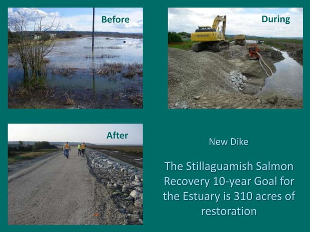 Port Susan Bay Restoration | PPT