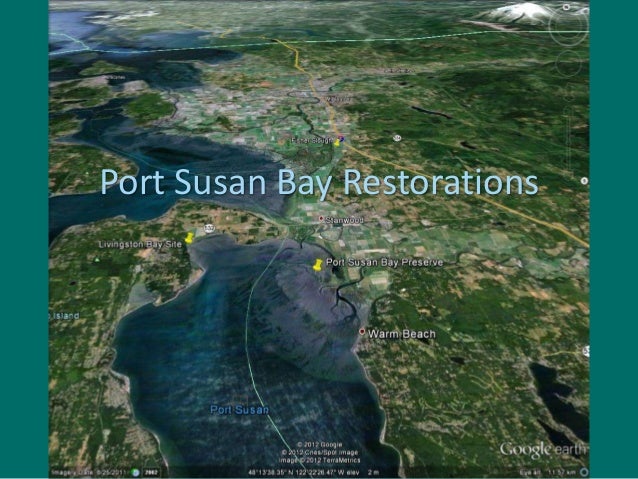 Port Susan Bay Restoration