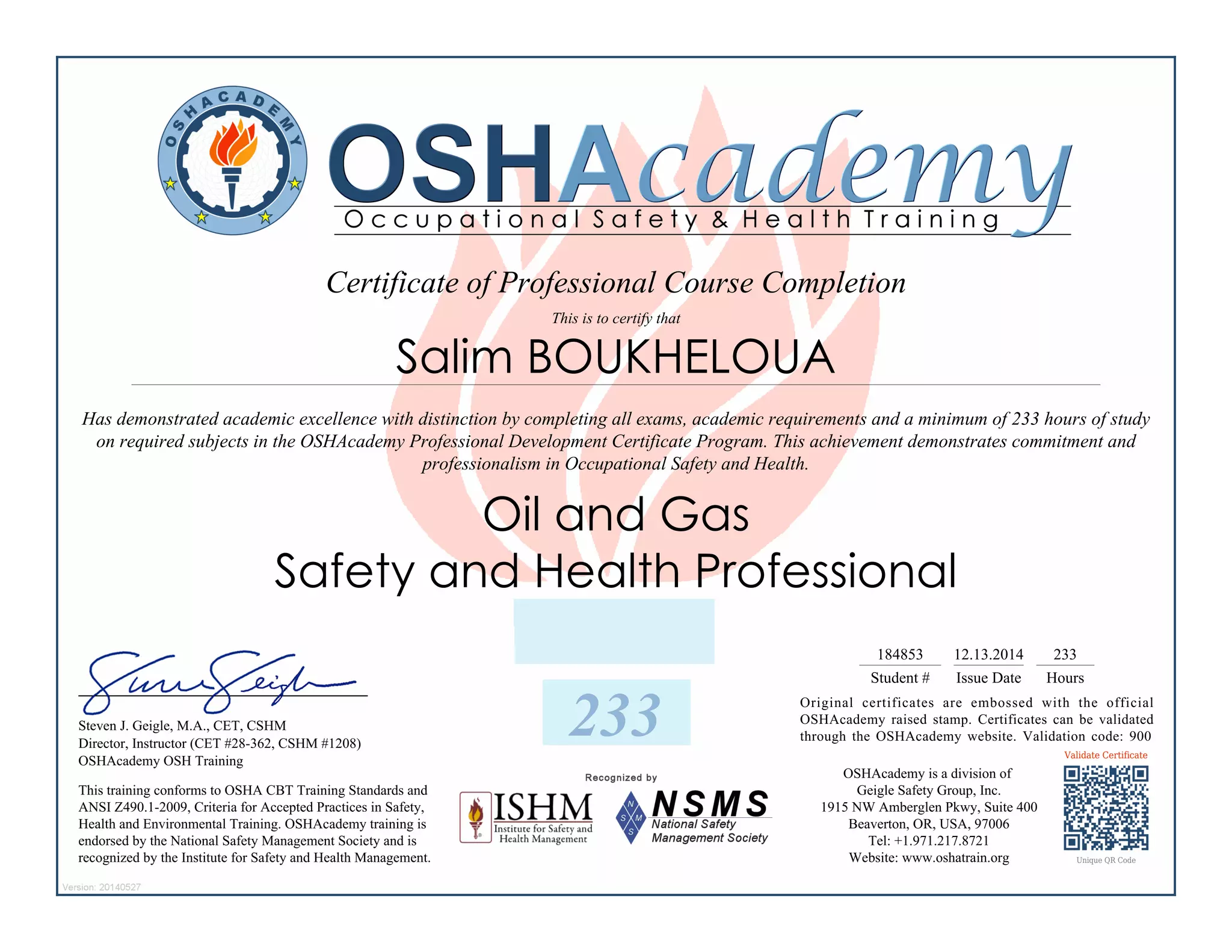 Oil & Gas HS Professional | PDF