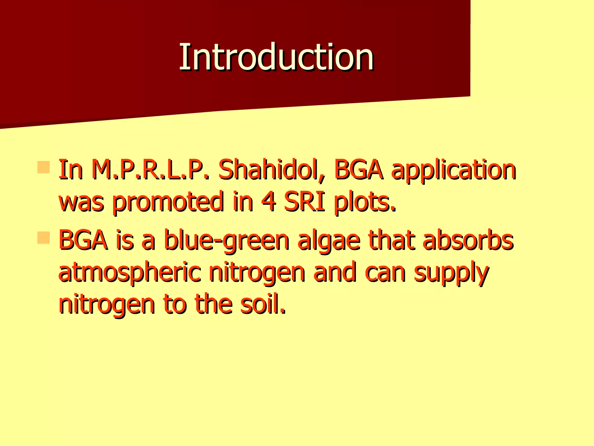 1026 Comparative Observation of Paddy Production managed with ...