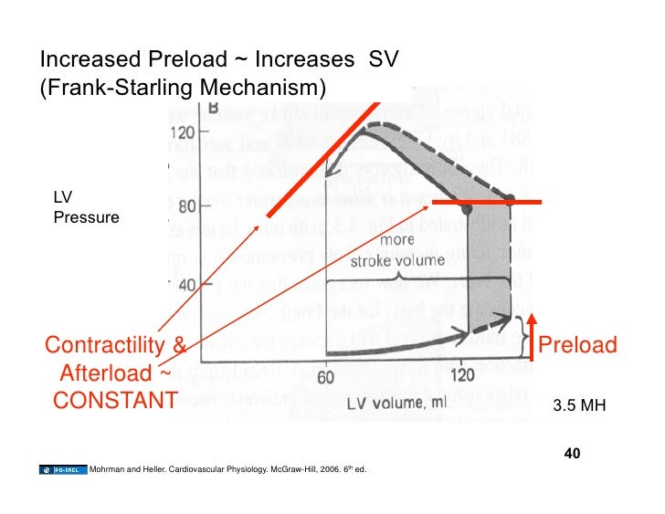 10.28.08: Cardiac Muscle