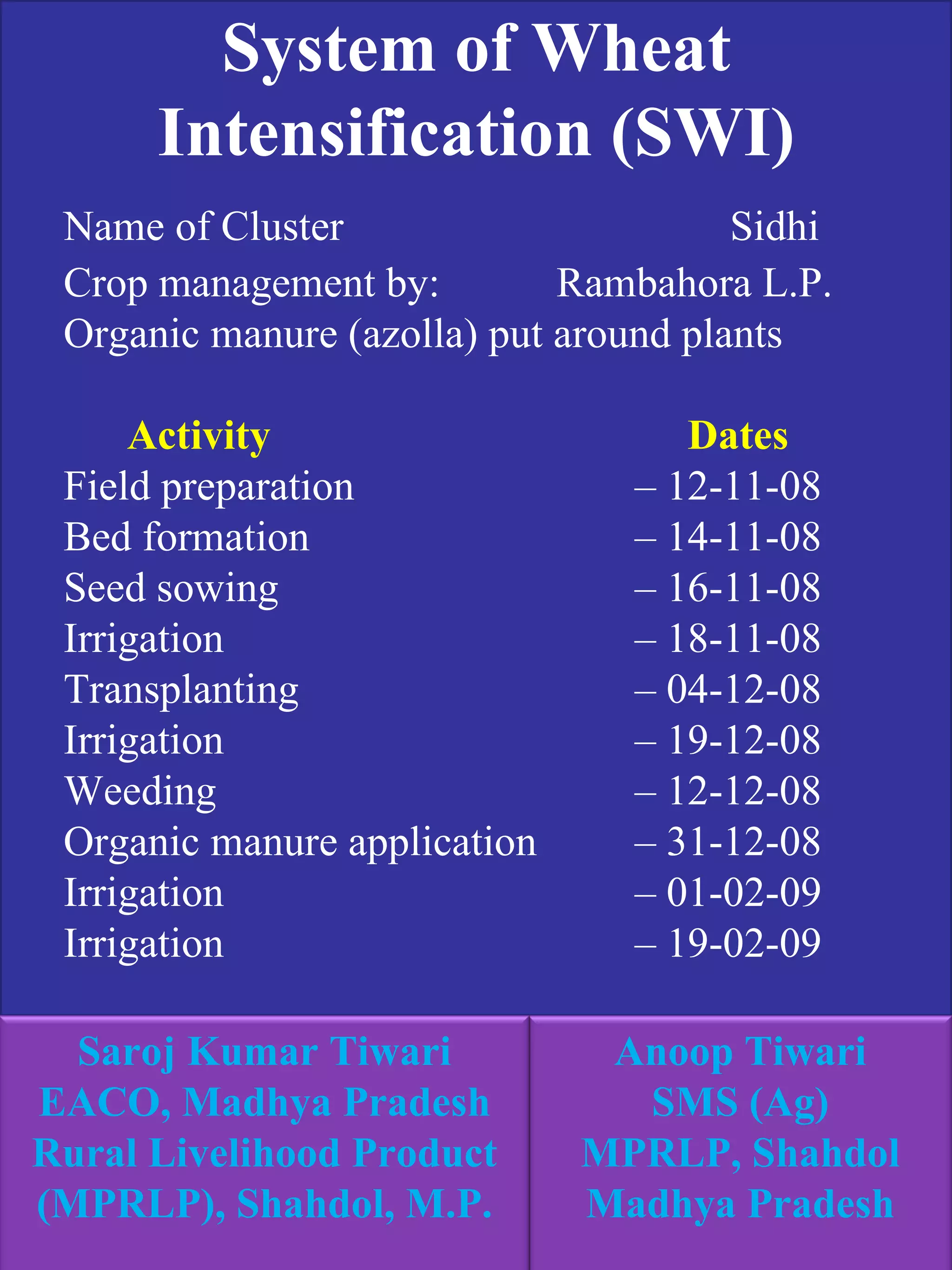 1028 System of Wheat Intensification (SWI) | PPT