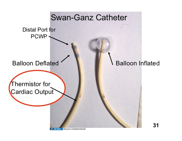 10.29.08(a): Cardiac Hydraulics